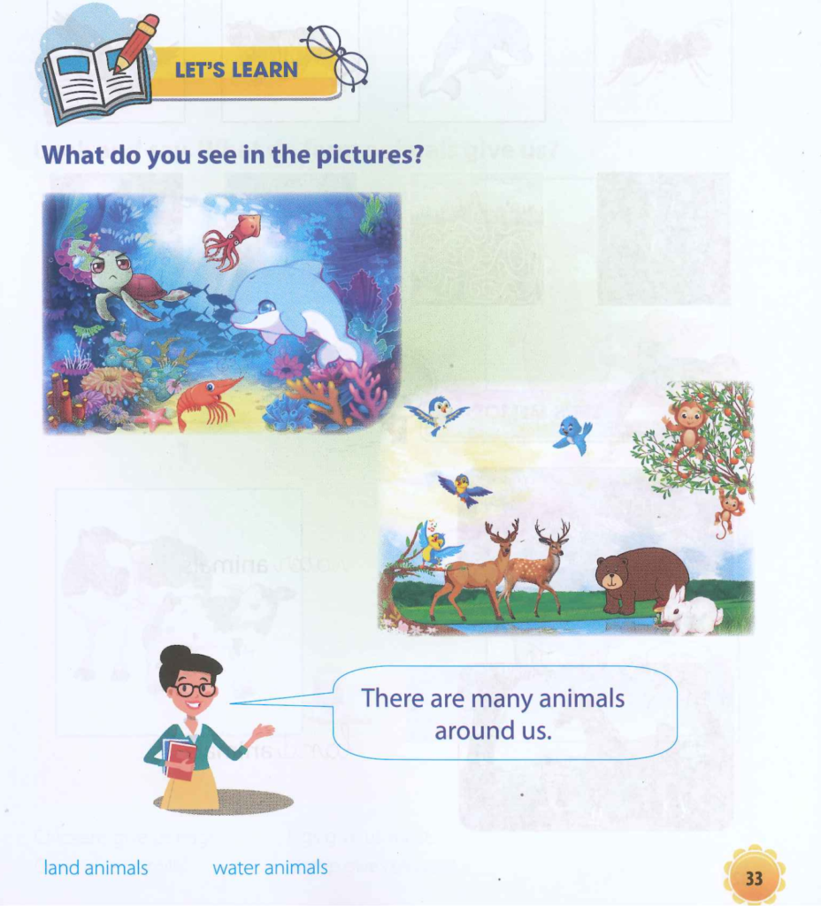 Unit 15: Animals – GELA Education – Math & Science